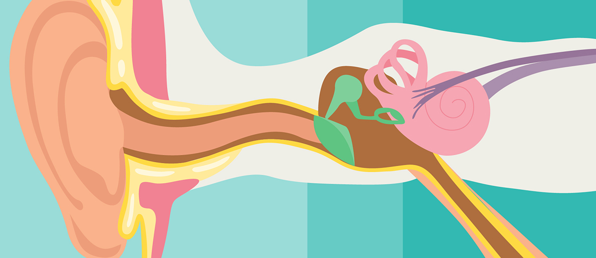 Hearing Screening 101: Tympanometry Test | MacGill