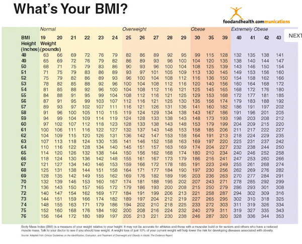 BMI Chart Poster