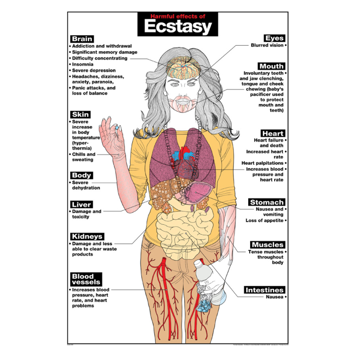 Harmful Effects of Ecstasy Laminated Poster