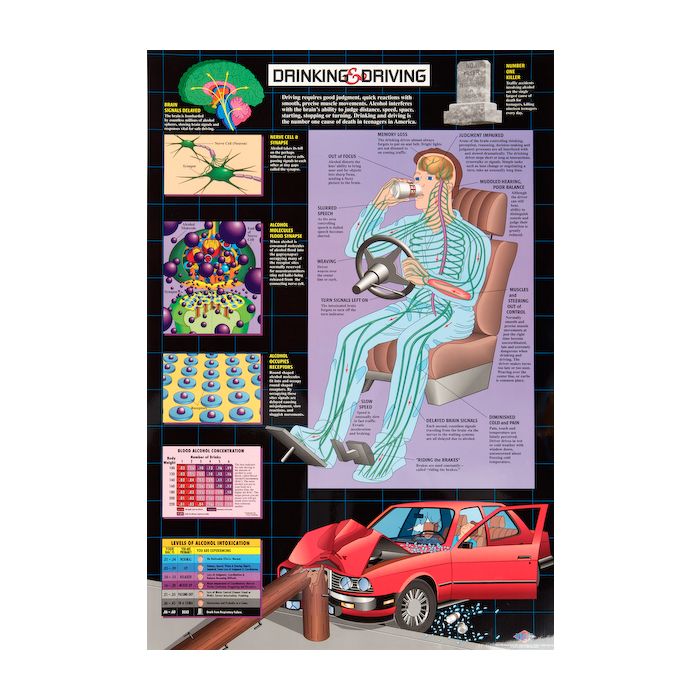 Drinking and Driving Chart, Laminated 24" x 36"