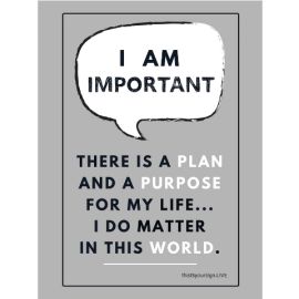 I Am Important Poster, 11" x 17", Laminated