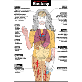 Harmful Effects of Ecstasy Laminated Poster