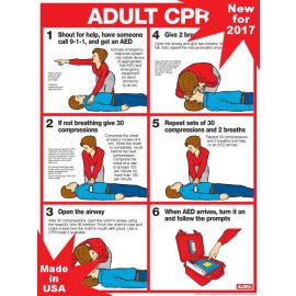Adult CPR Chart, Laminated 18" x 24"